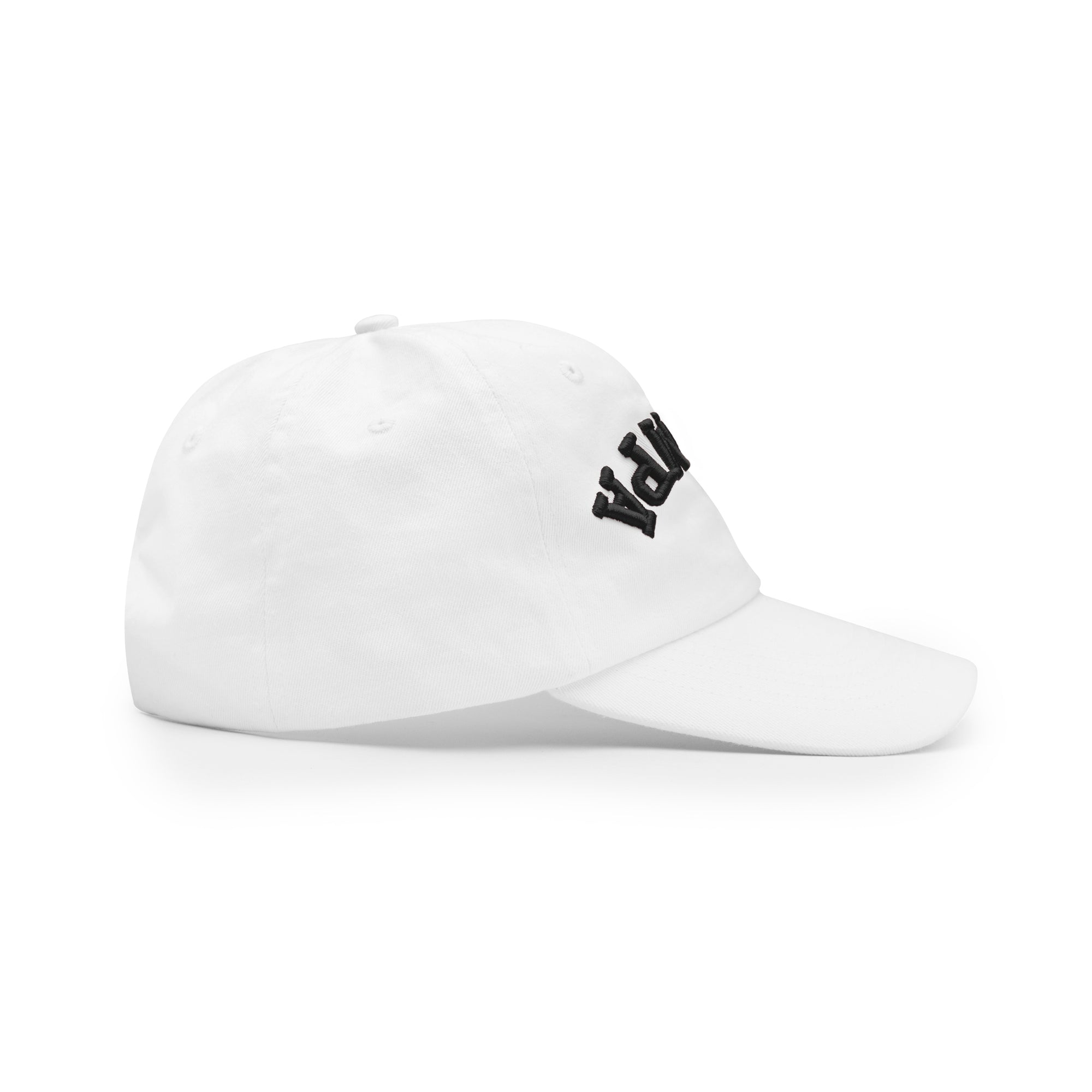 Upside Down Tampa - Dad Hat: White & Black